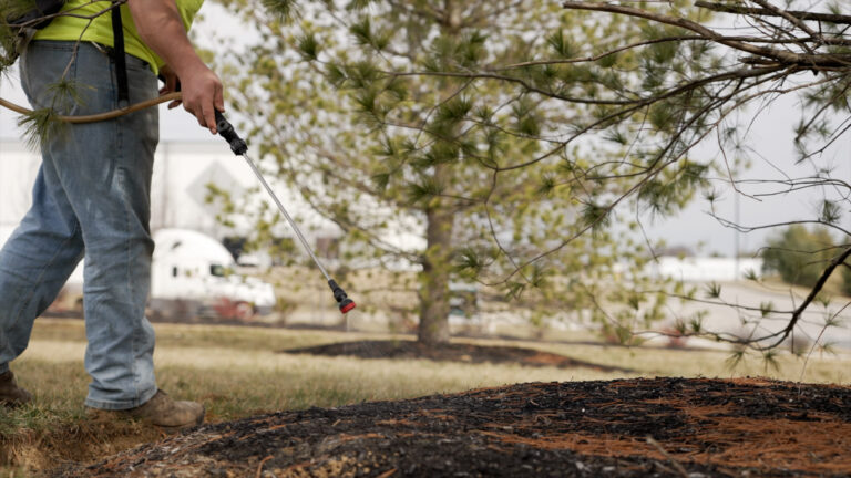 The Importance of Plant Health Care for Commercial Properties - EMI ...