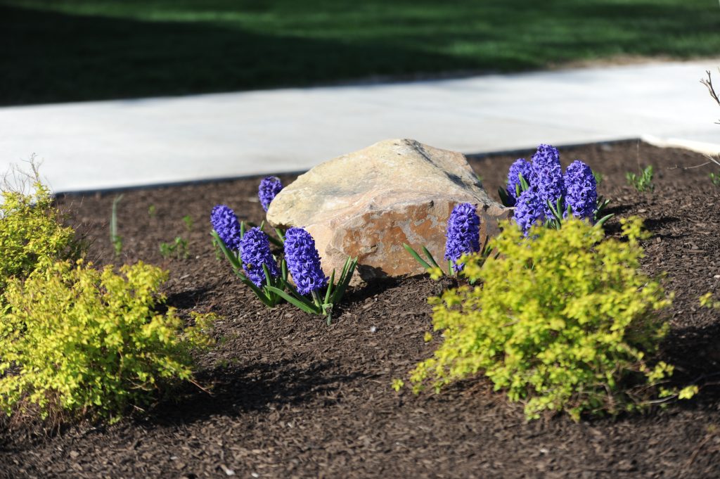 Spring Cleanup The emi Way - EMI Landscape