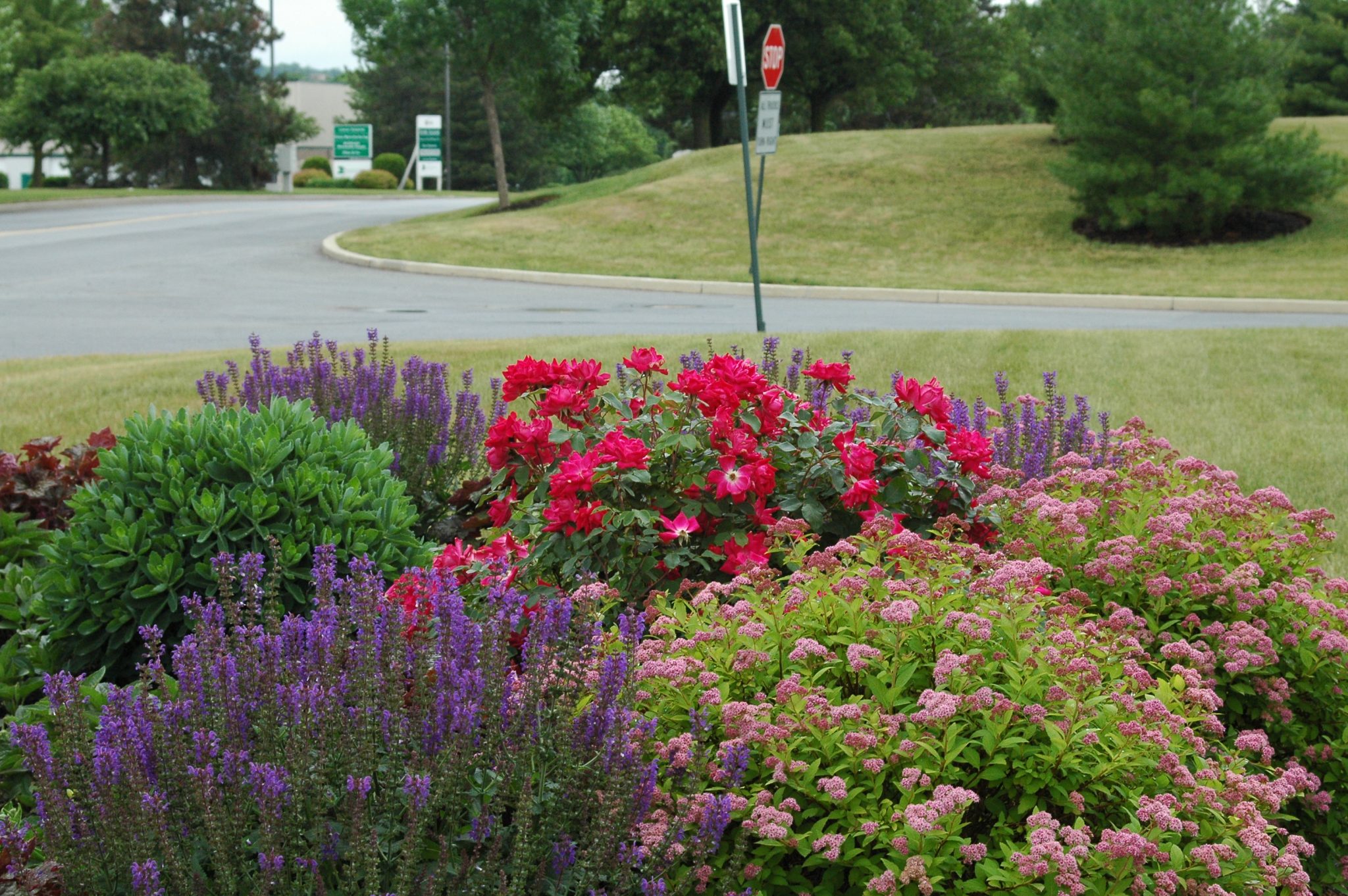 Commercial Trimming And Pruning Services In Macungie PA - EMI Landscape