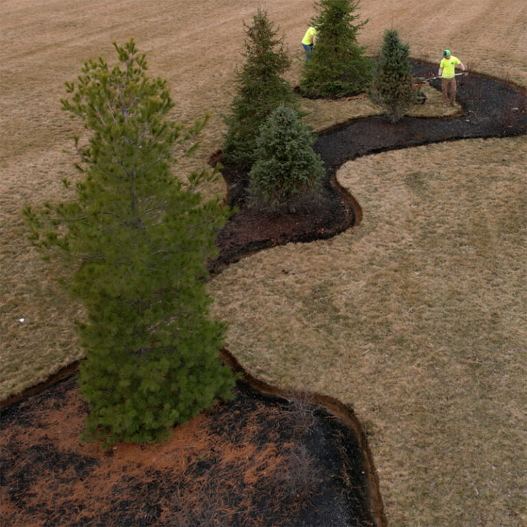 Home Page - EMI Landscape