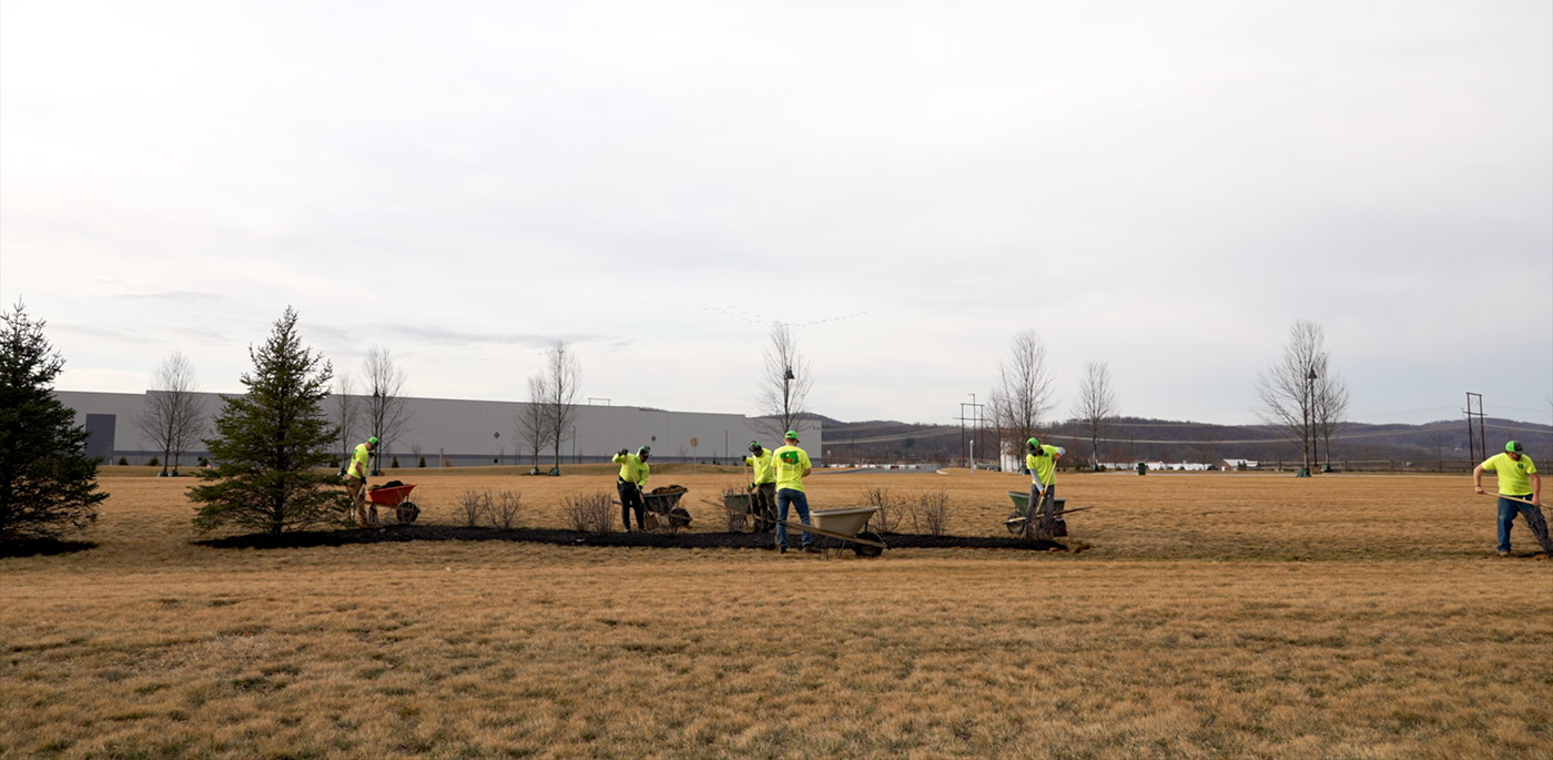 Careers - EMI Landscape