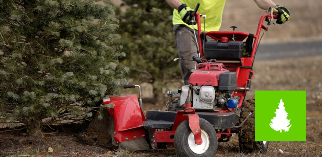 Commercial Landscape Enhancements - EMI Landscape