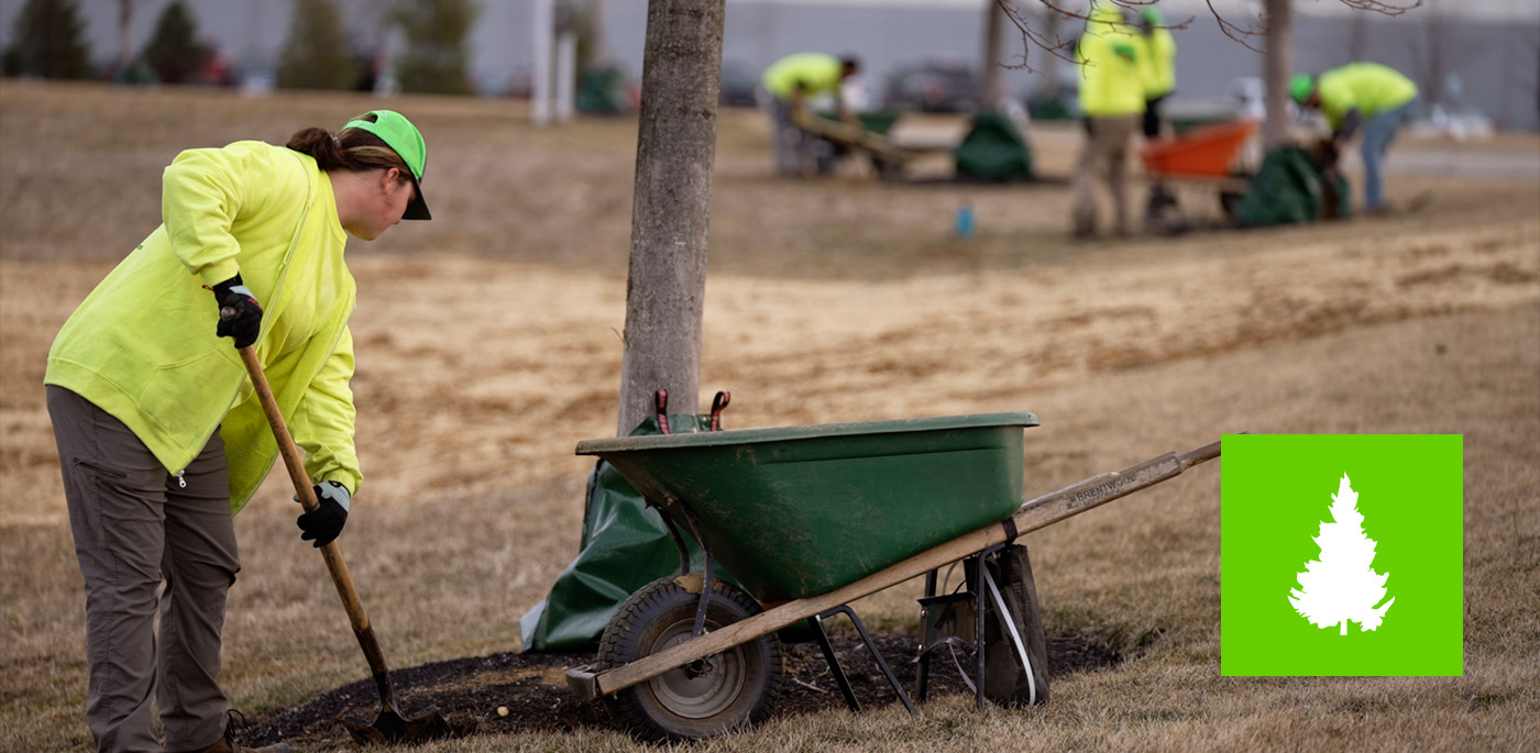 Commercial Landscape Maintenance - EMI Landscape