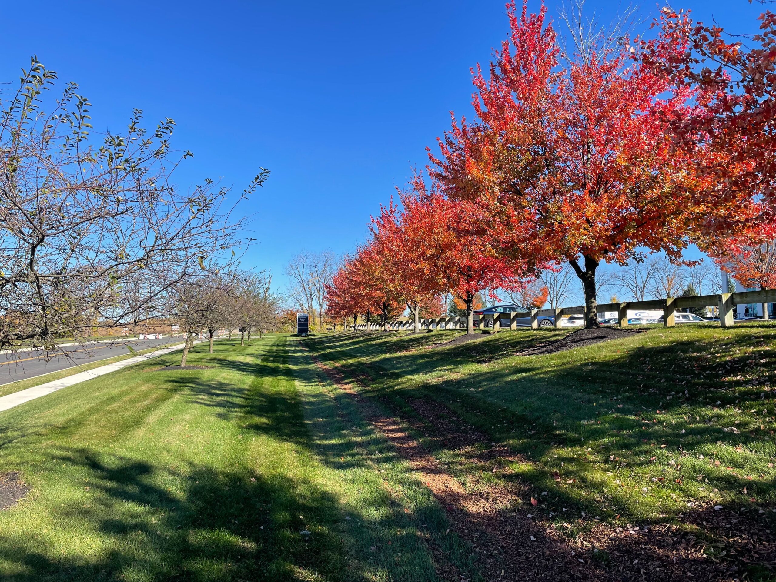 Fall Cleanup: The emi Way - EMI Landscape